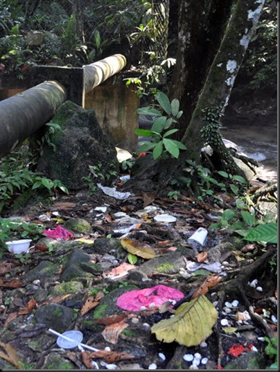 Waterfall Survivors: Most Polluted Waterfall in Malaysia